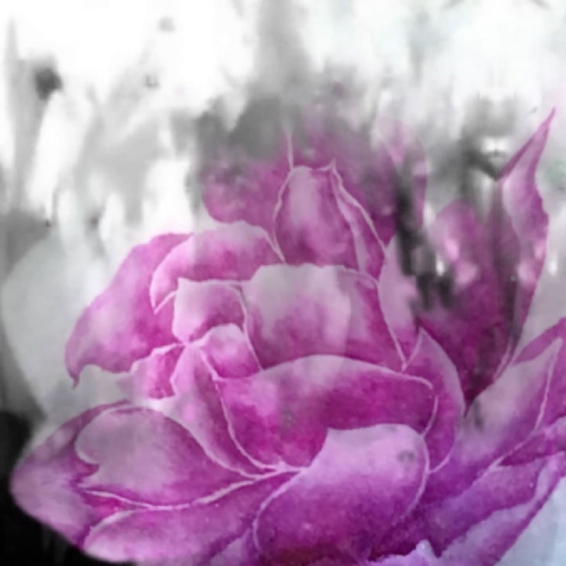 Showcase | DesignInspire